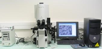 Microdissection par Capture Laser | ProfileXpert